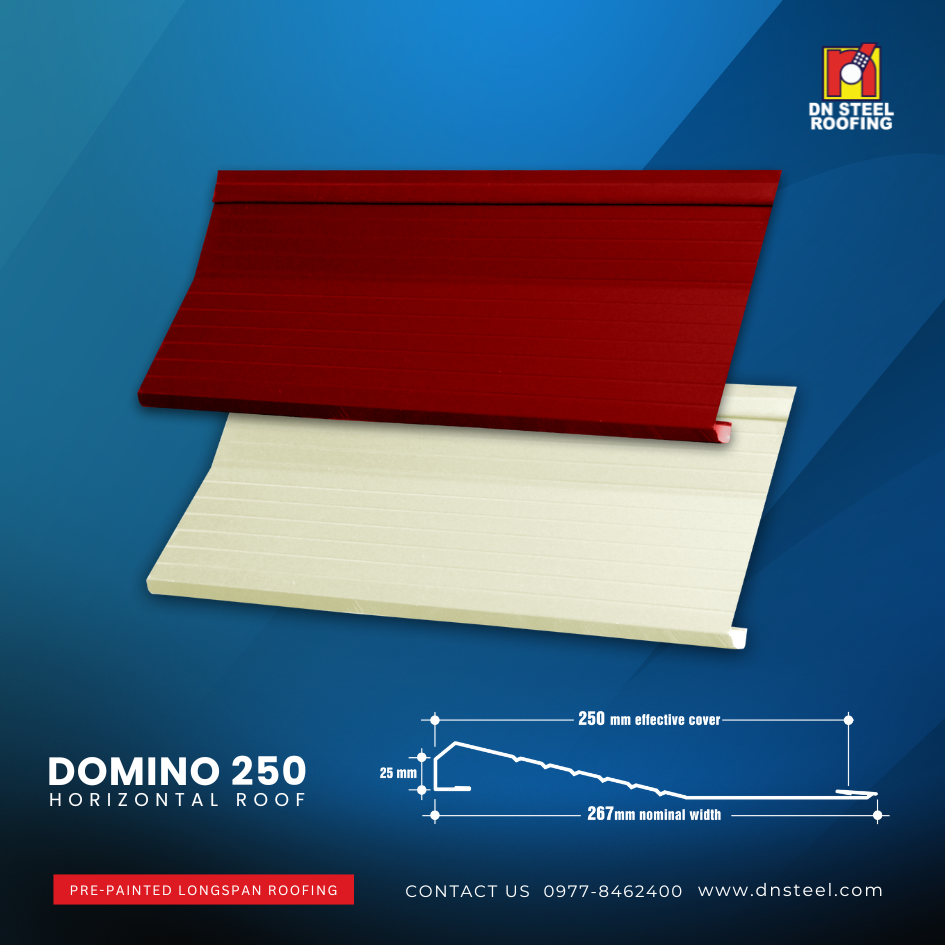Domino 250 – DN Steel