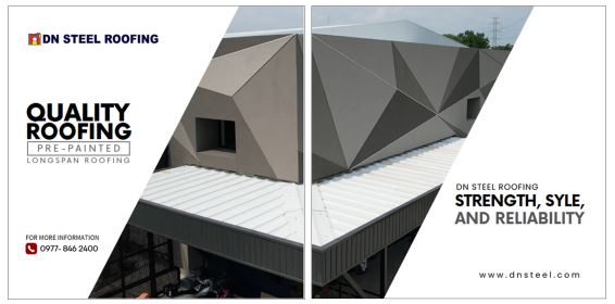 DN Steel Roofing – Strength, Style, and Reliability – DN Steel